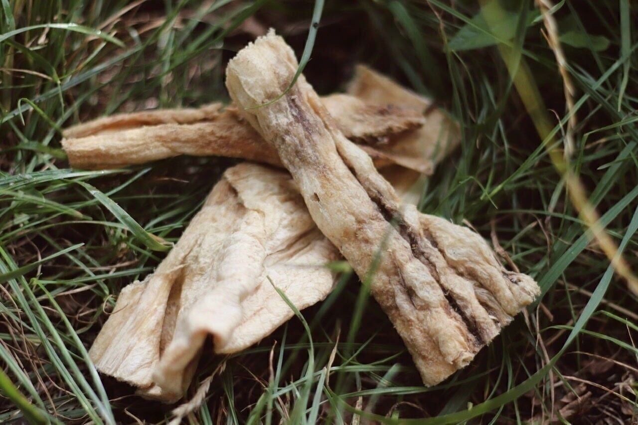 Buy wholesale White beef tripe for dogs