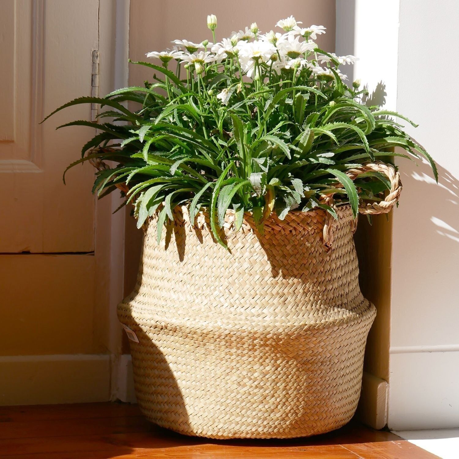 Achat Cache-pot Panier Naturel Ø32 | SEAGRASS en gros