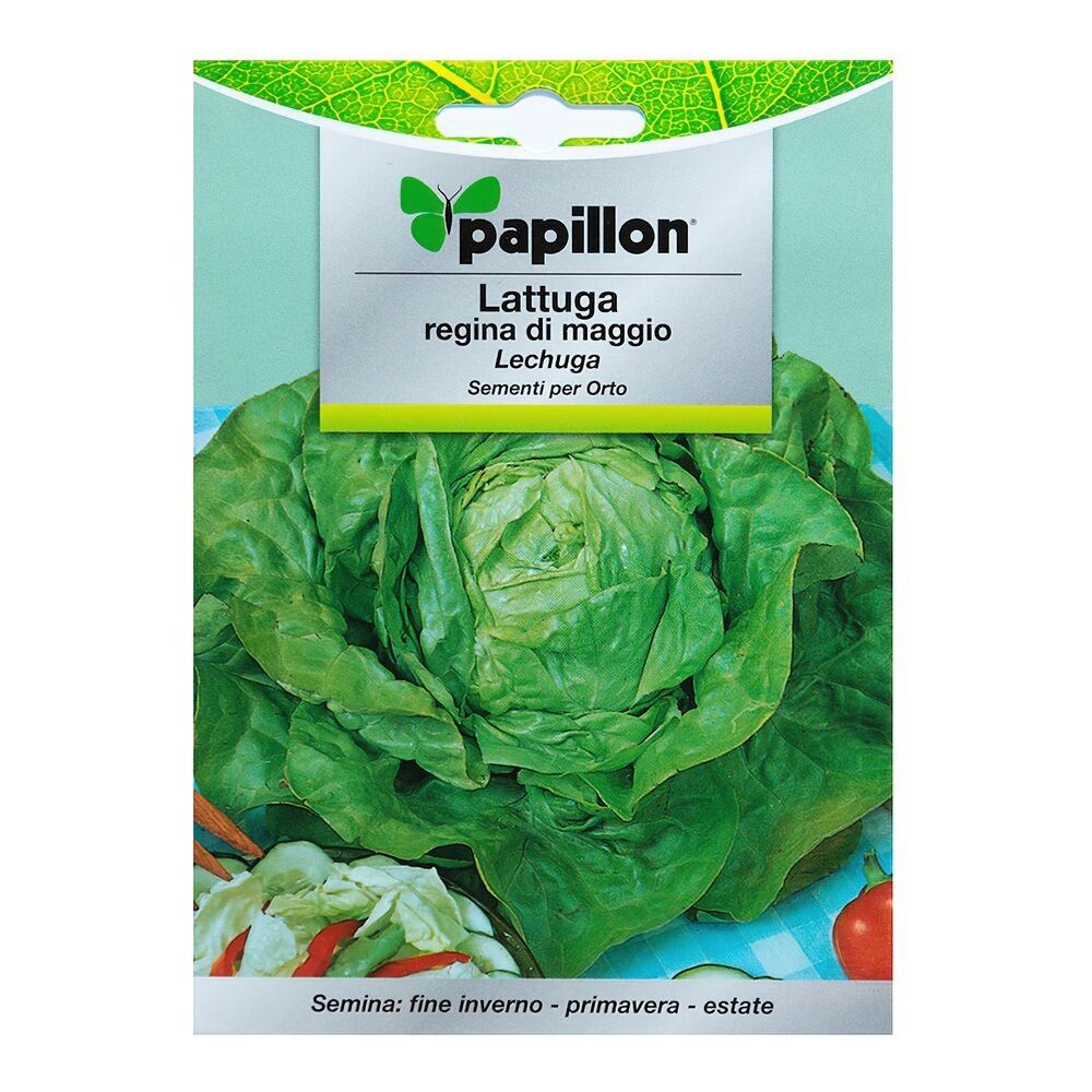 Buy wholesale Queen of May Lettuce Seeds (7 grams) Vegetable Seeds ...