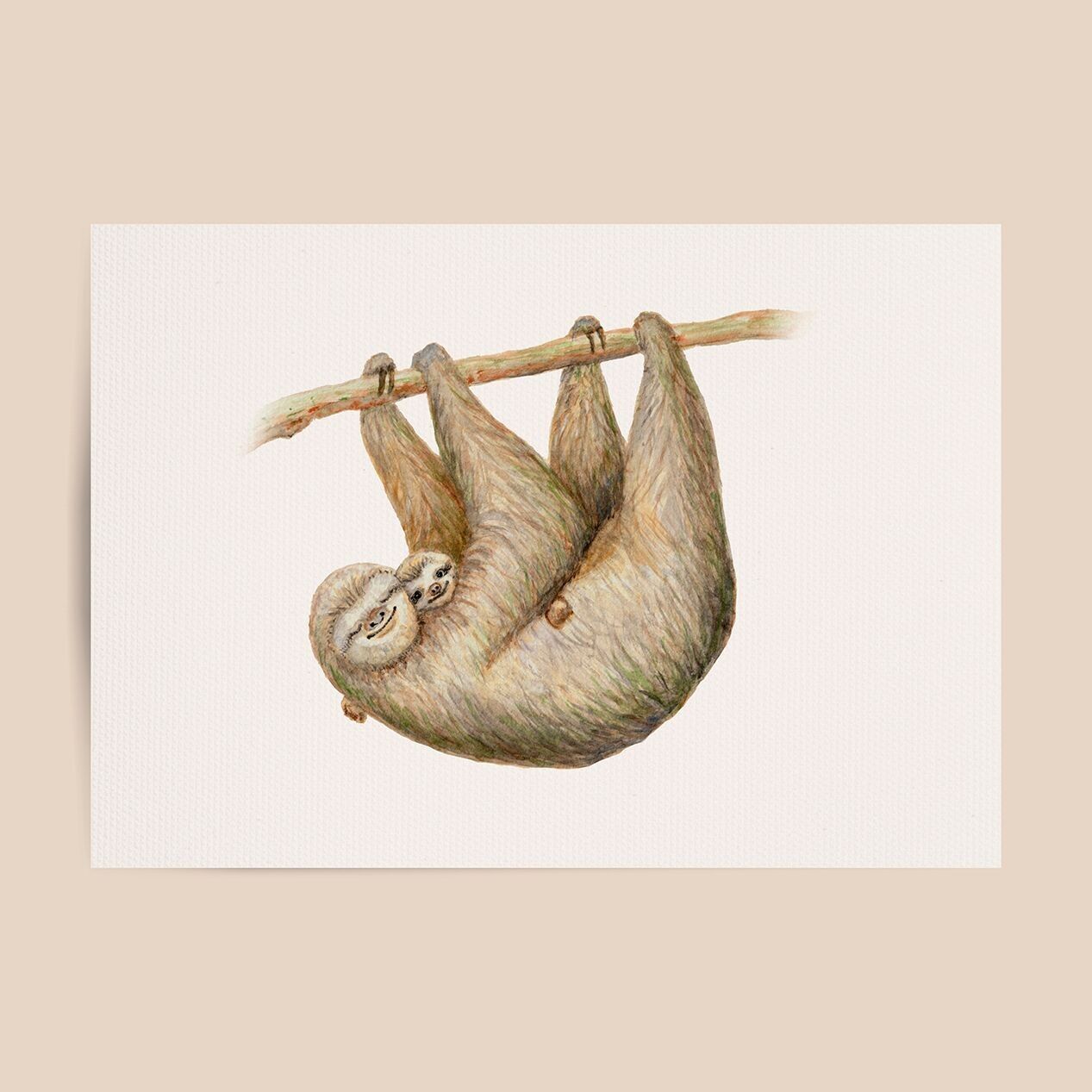 Buy wholesale Poster sloth - A4 or A3 size - kids room / baby nursery