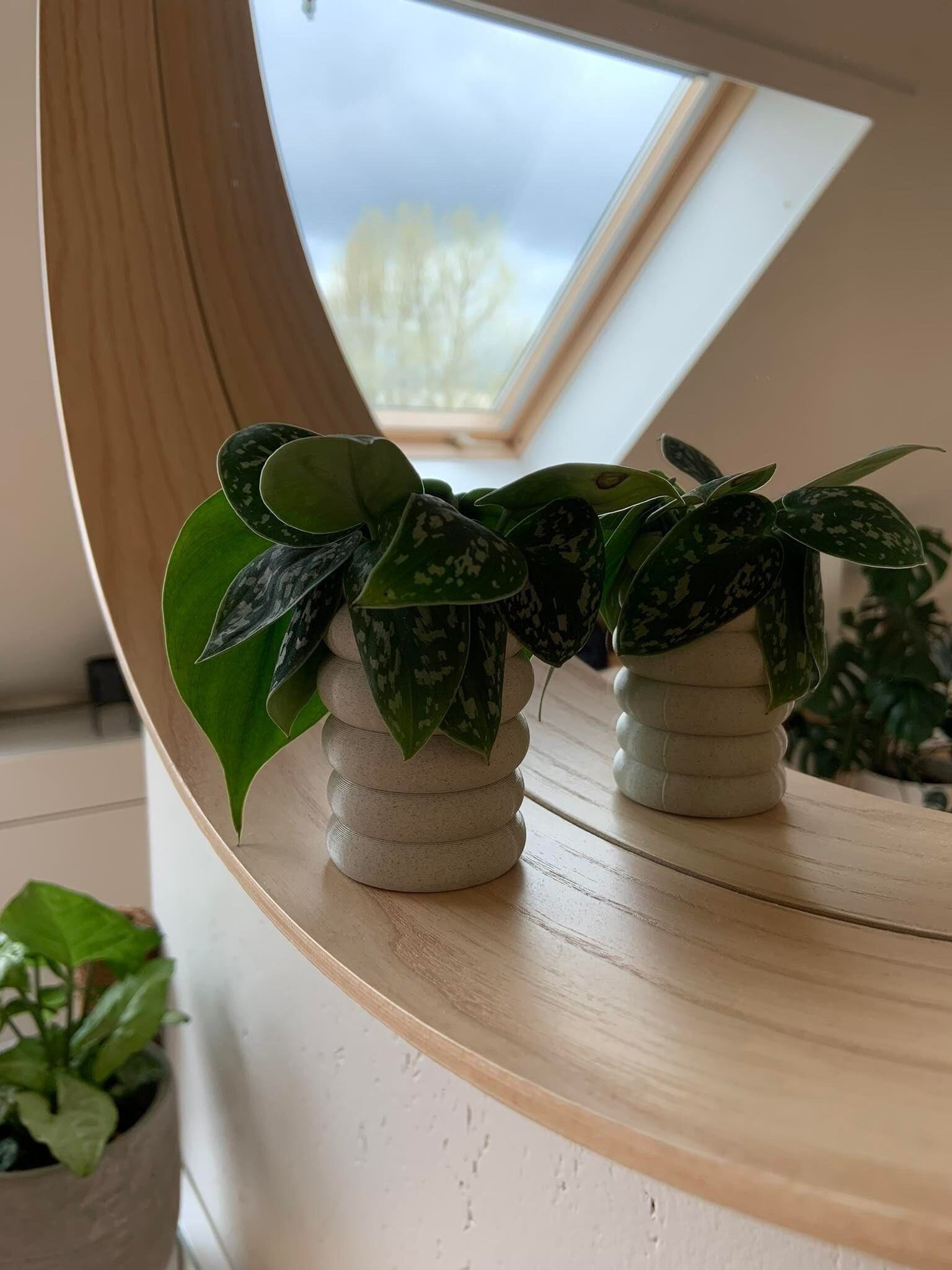 Buy wholesale Bubble Petit