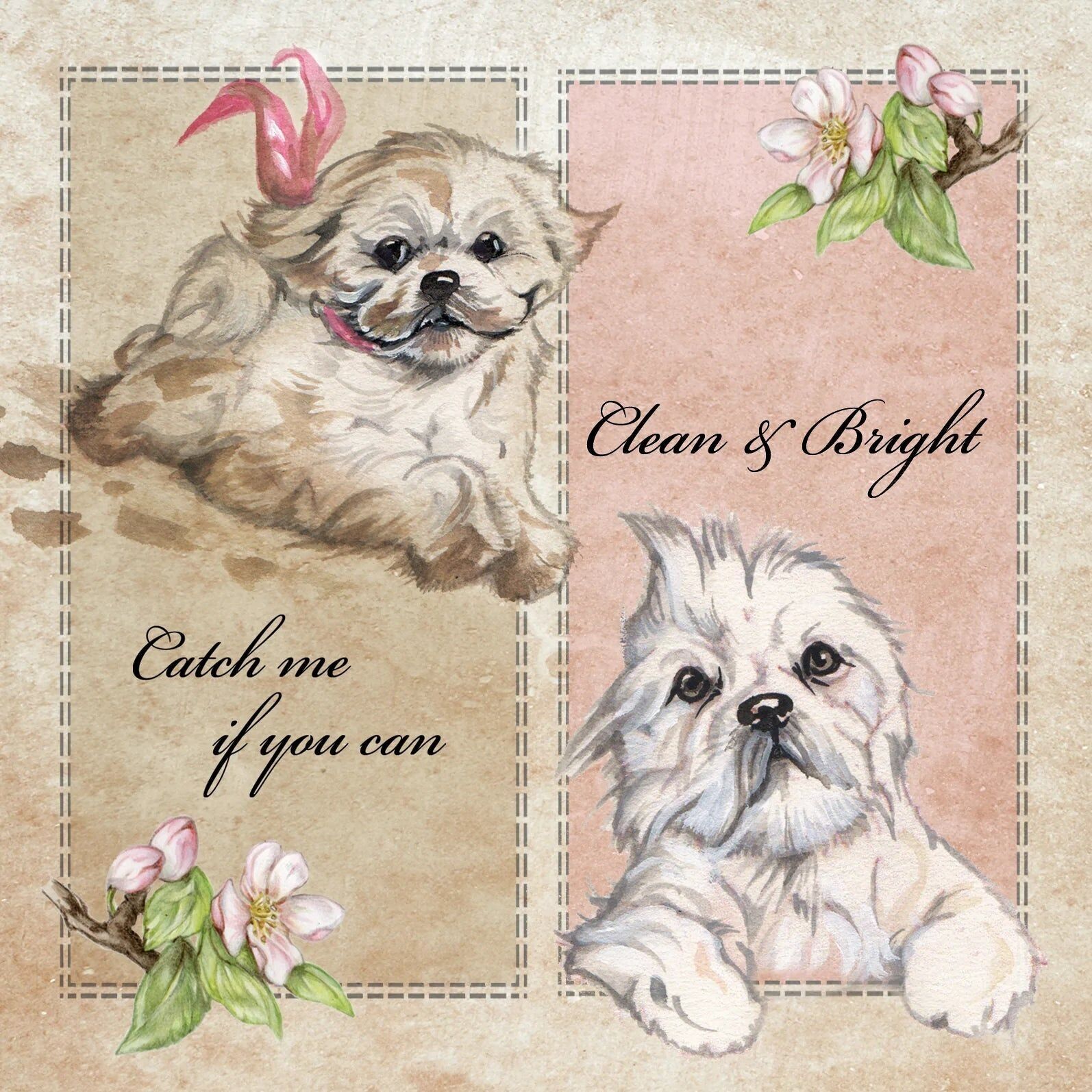 Buy wholesale Square card - Catch me if you can - Clean & Bright (Malteser)