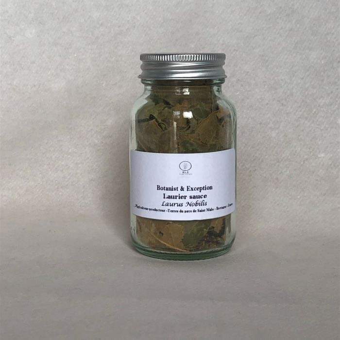 Buy wholesale LAUREL SAUCE CULTIVATED IN MARITIME ZONE