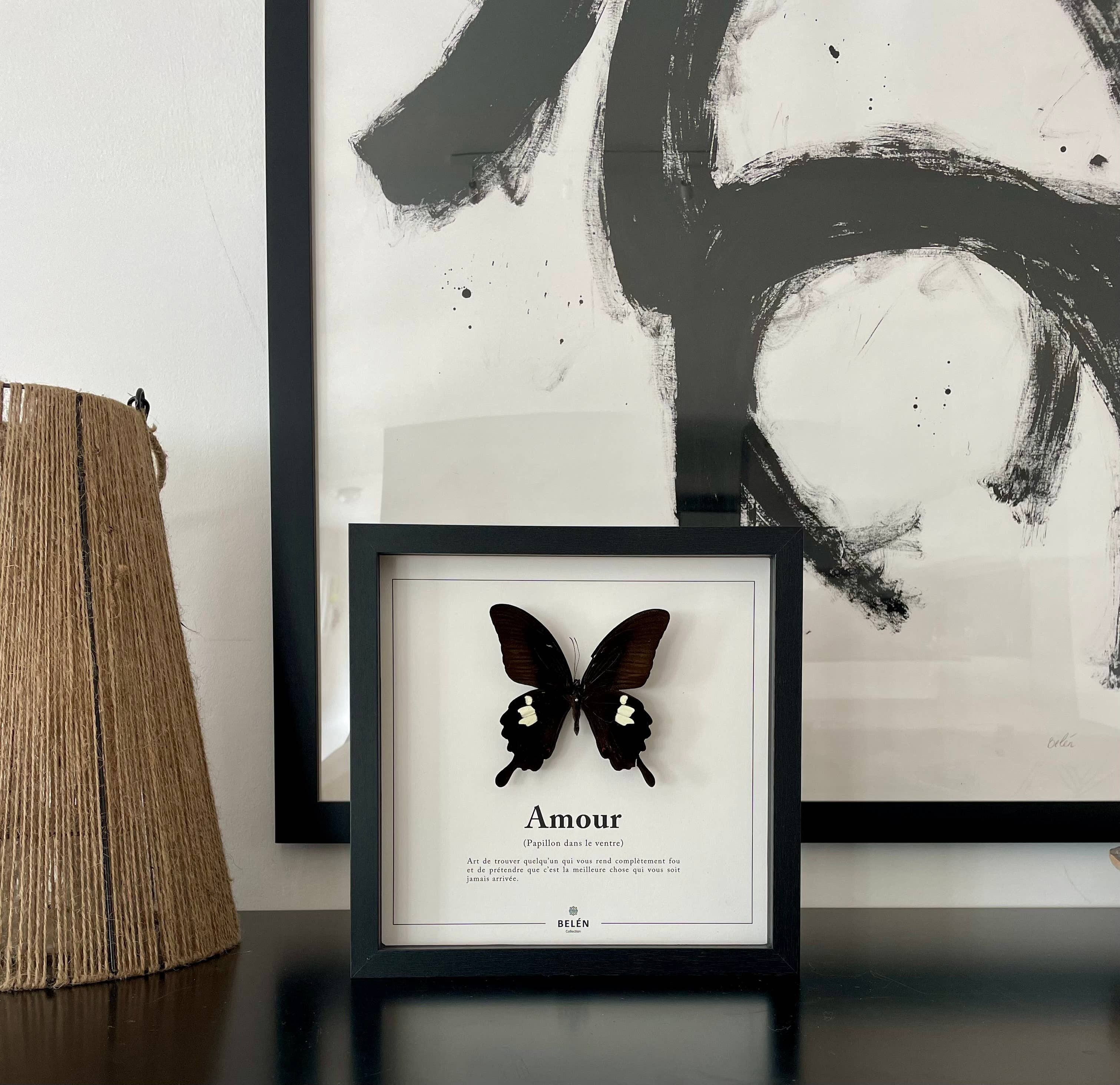Buy wholesale Rio frame 5 models to choose from