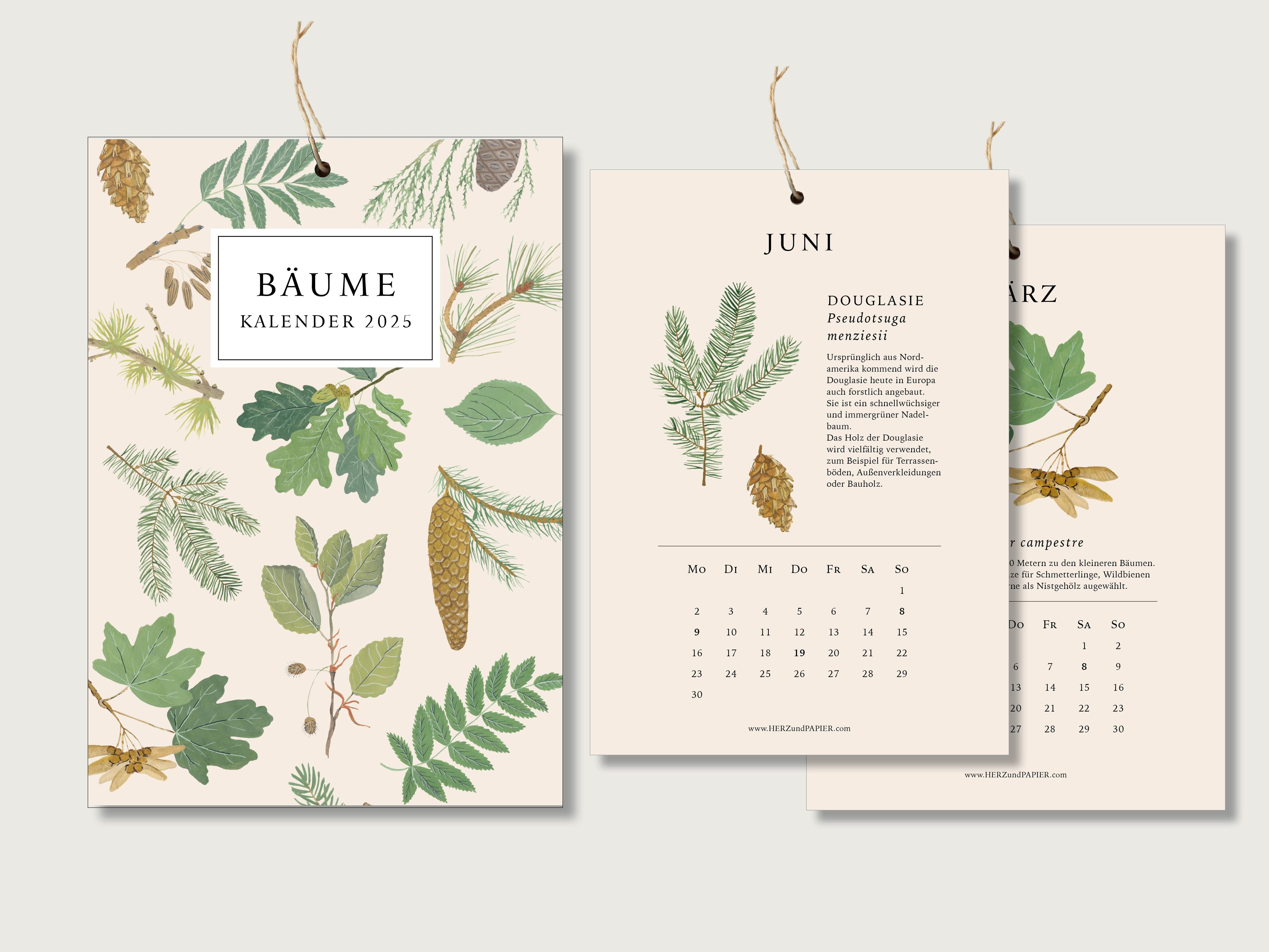 Buy wholesale Calendar for 2025 "Trees" - botanical calendar ...