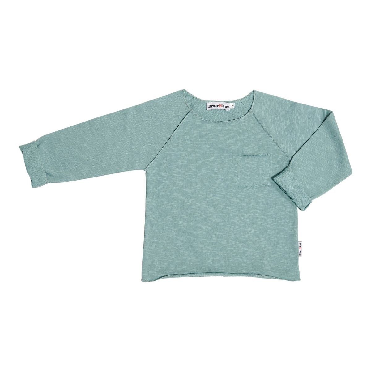 Achat Pull bébé 4 cactus en gros