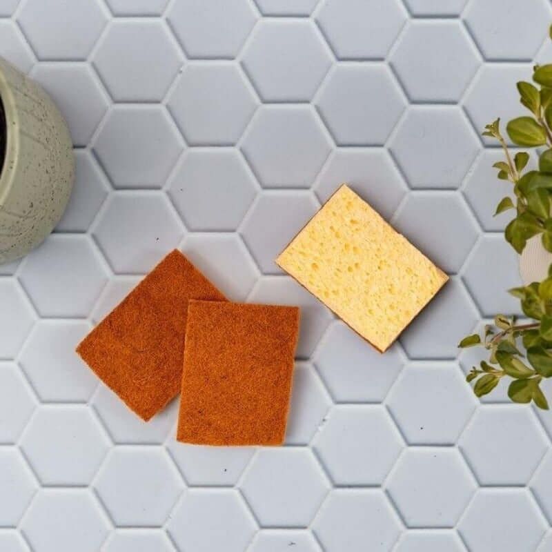 Buy wholesale Natural Coconut Fiber Sponges - My Bamboo