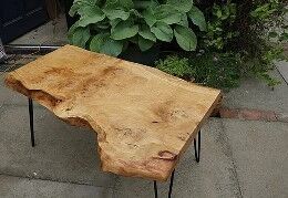 Buy wholesale Pippy Oak Coffee Table