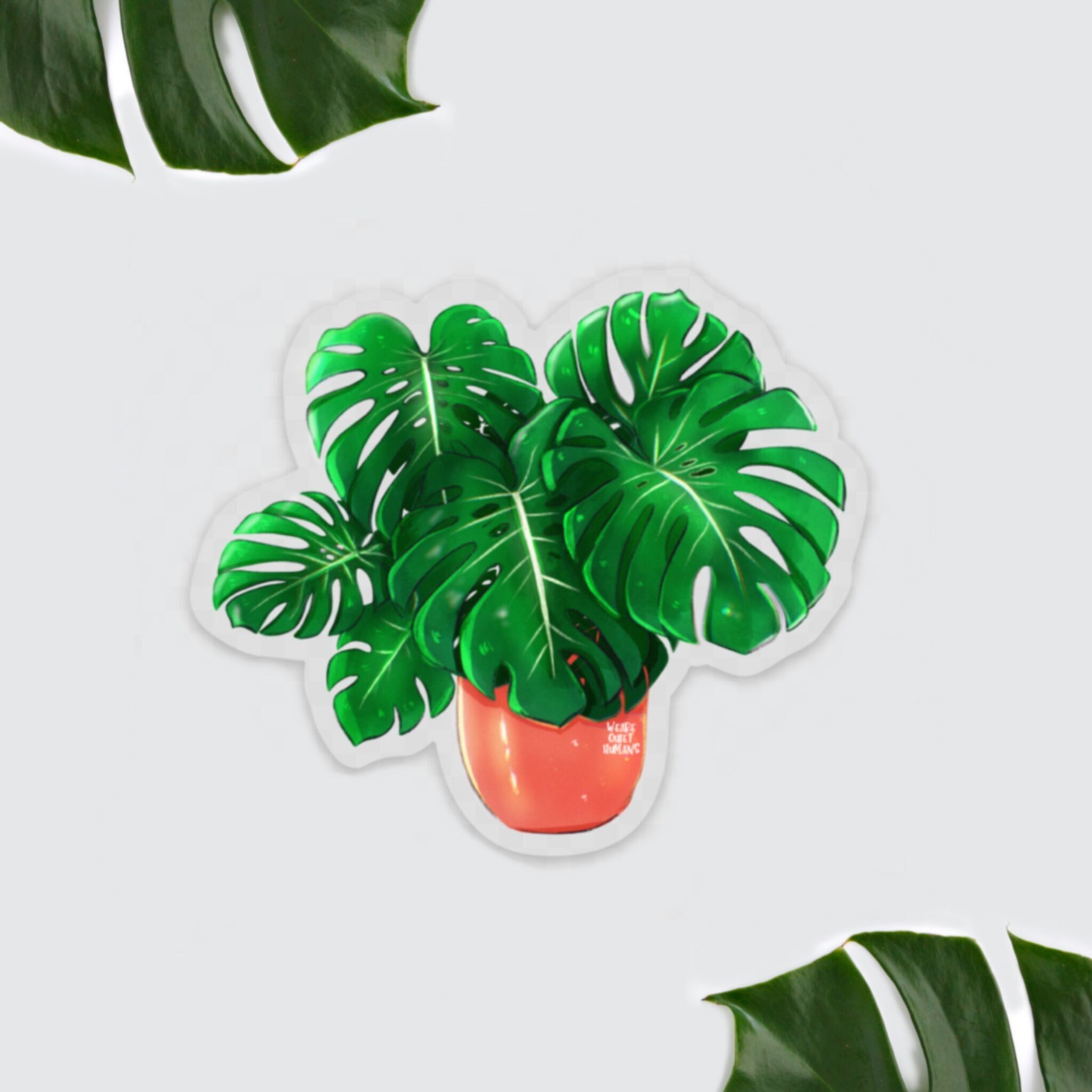 Achat Sticker - Monstera deliciosa 6 feuilles transparent en gros