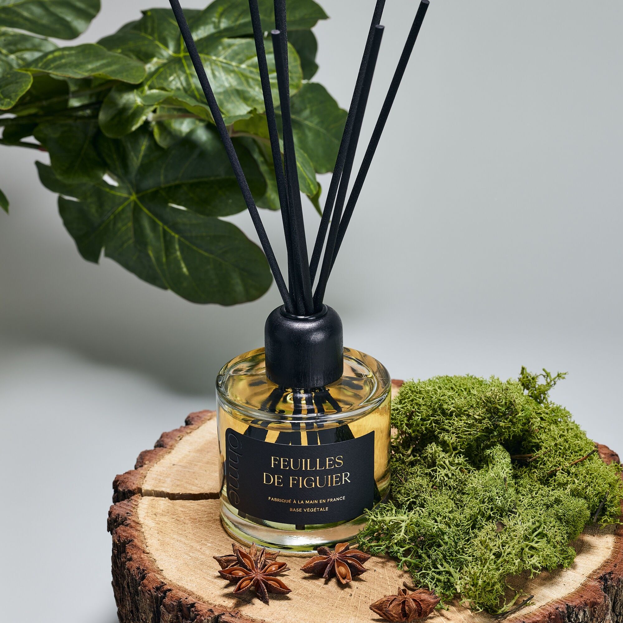 Achat Grand diffuseur de parfum à bâtonnets - Feuilles de Figuier 200ml ...