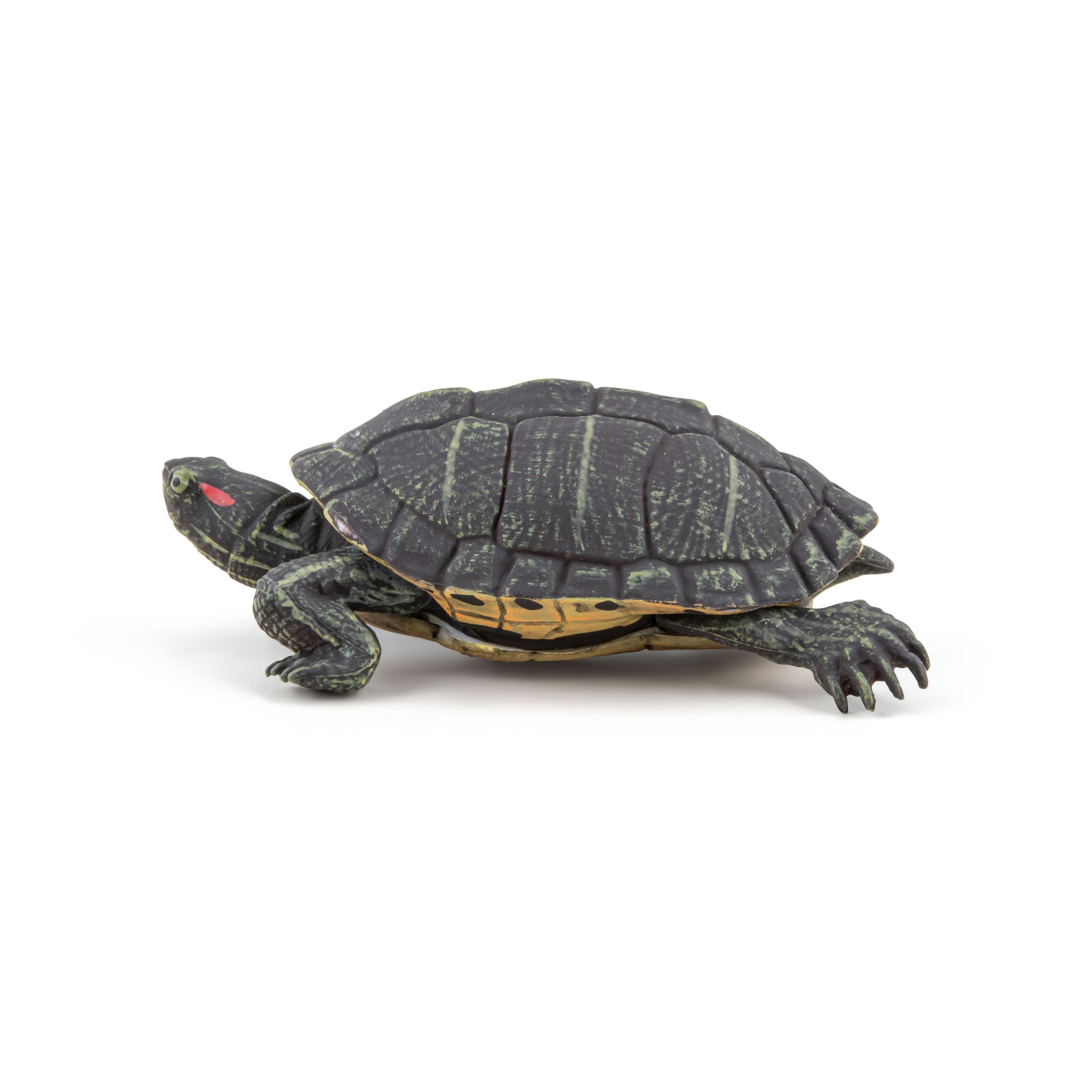 Buy wholesale Papo - Figurine - Florida Turtle - WILD LIFE Collection ...