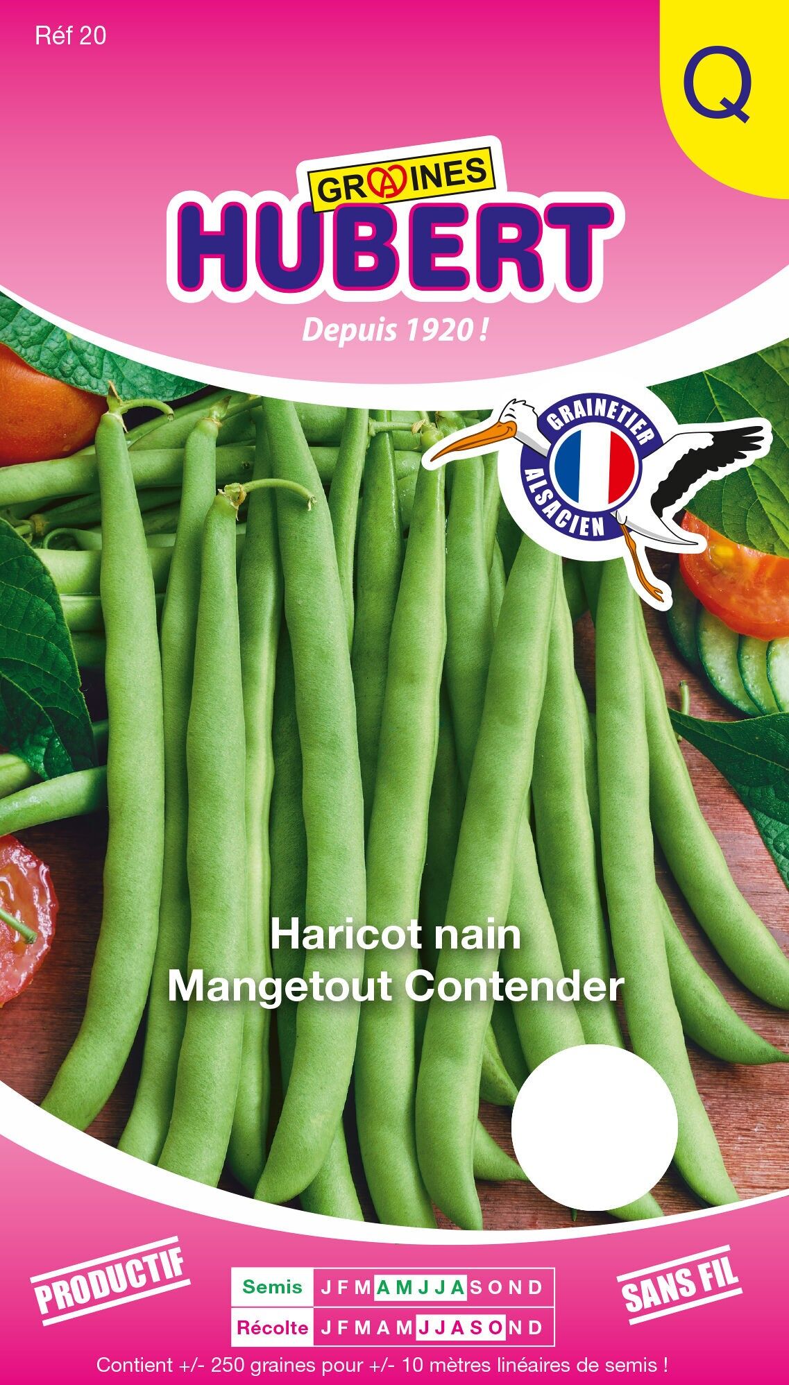 Buy wholesale Contender Dwarf Bean Seeds 150 Gram Box