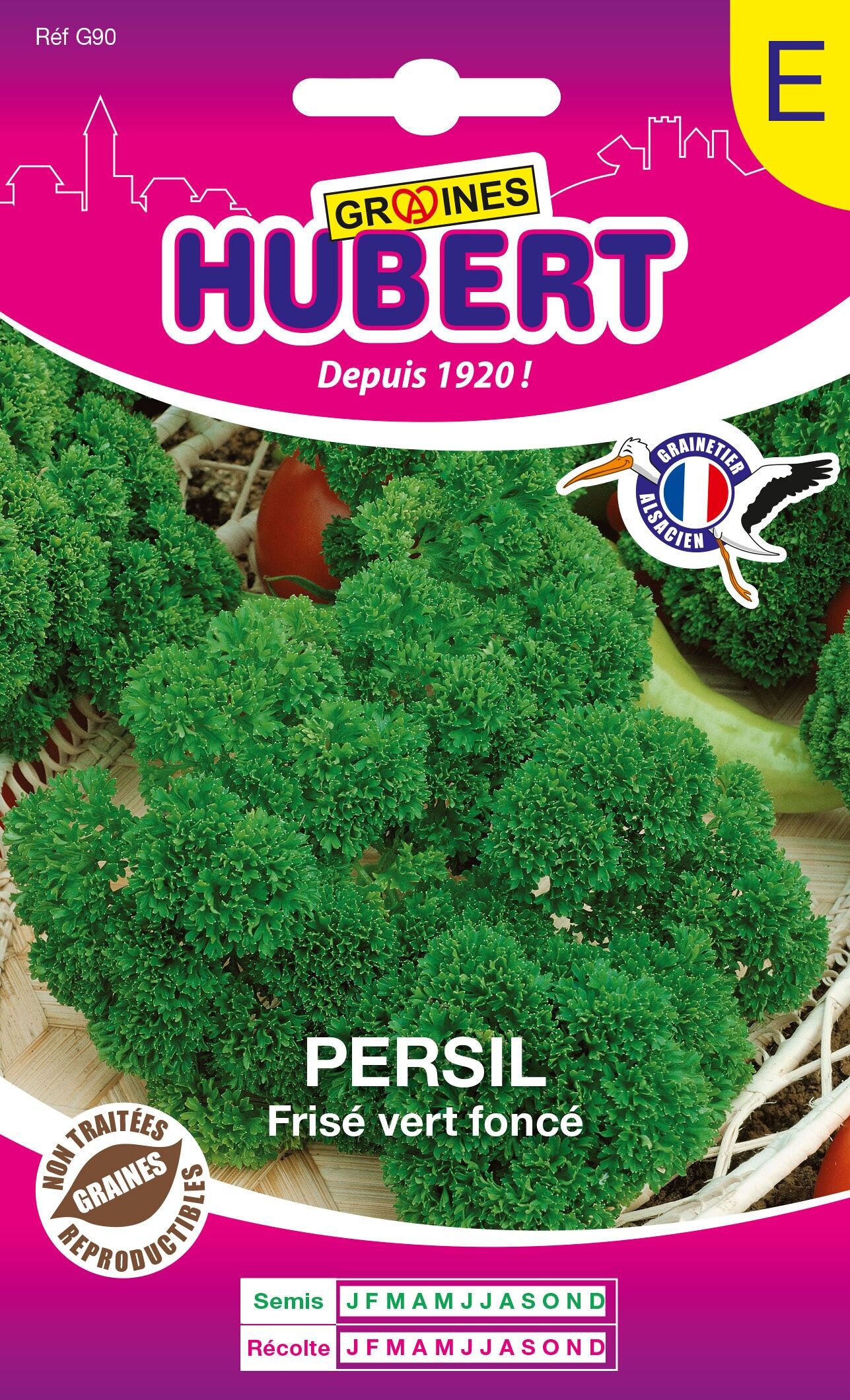 Achat Graines de Persil Frisé - Format ECO 18 Grammes en gros