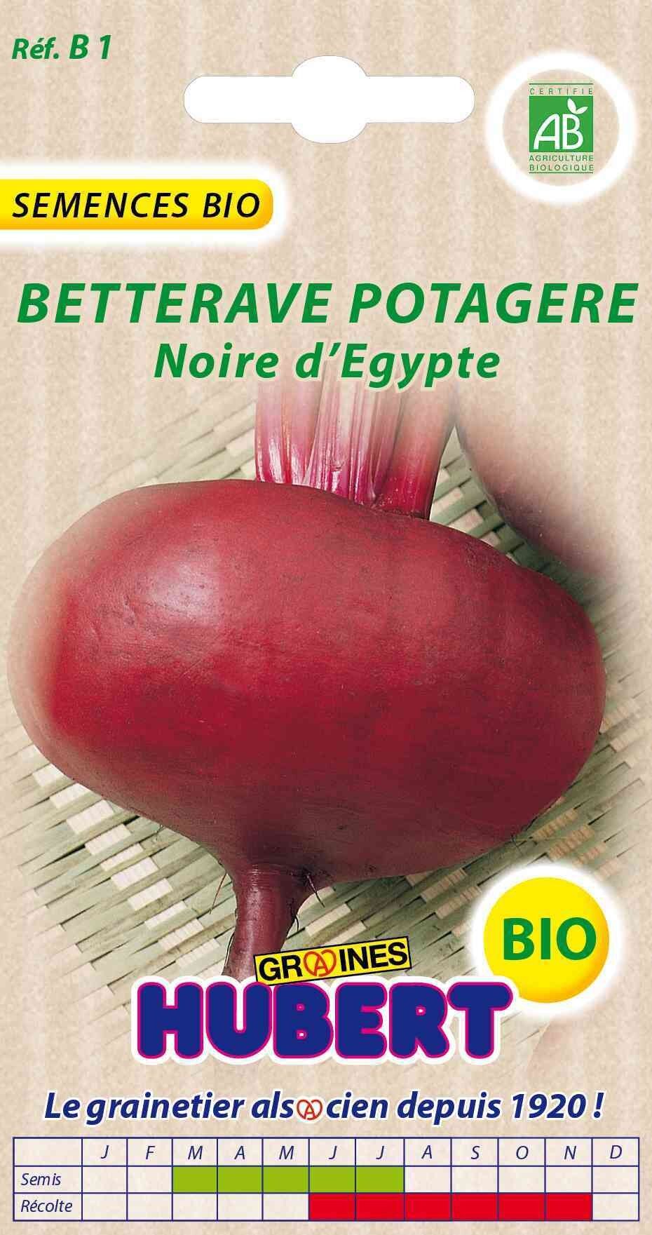 Achat Graines de Betterave Potagère Noire d'Egypte BIO - Sachet de 4 ...