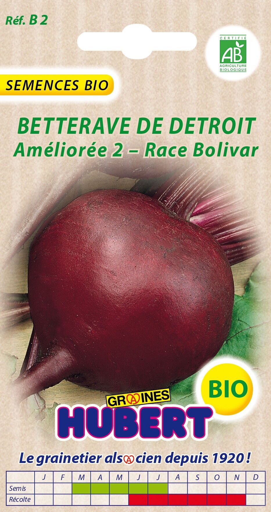 Buy wholesale Improved Detroit Beetroot Seeds 2 - Organic Bolivar Breed ...