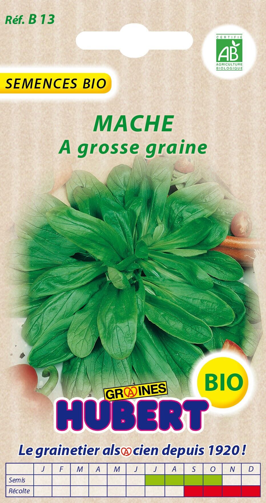 Achat Graines de Mâche à Grosse Graine BIO - Sachet de 2 Grammes en gros