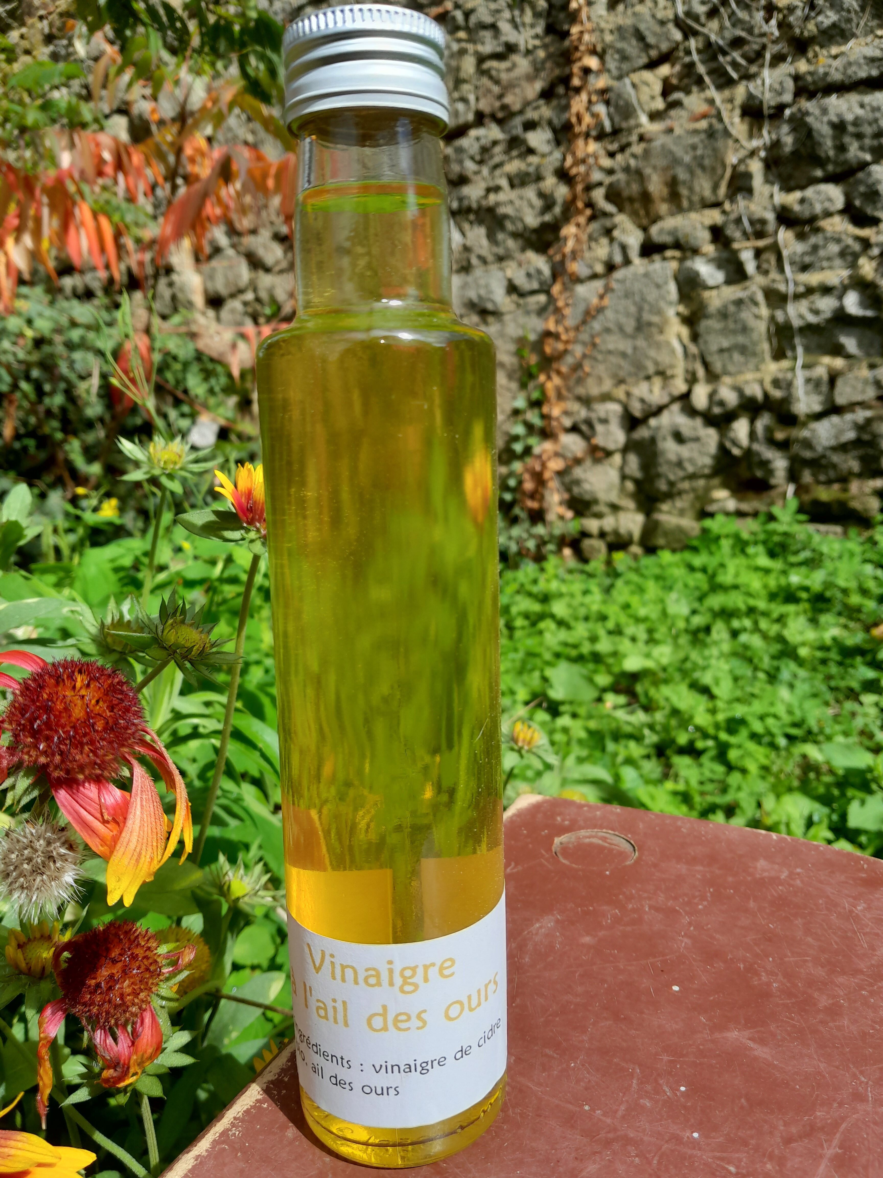 Buy wholesale Organic Wild Garlic Vinegar – invigorating and wild 25 cl ...