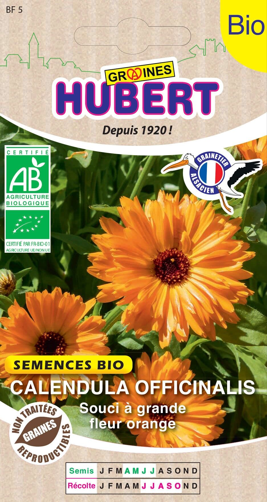 Buy wholesale Calendula Officinalis Seeds Large Orange Marigold Organic ...