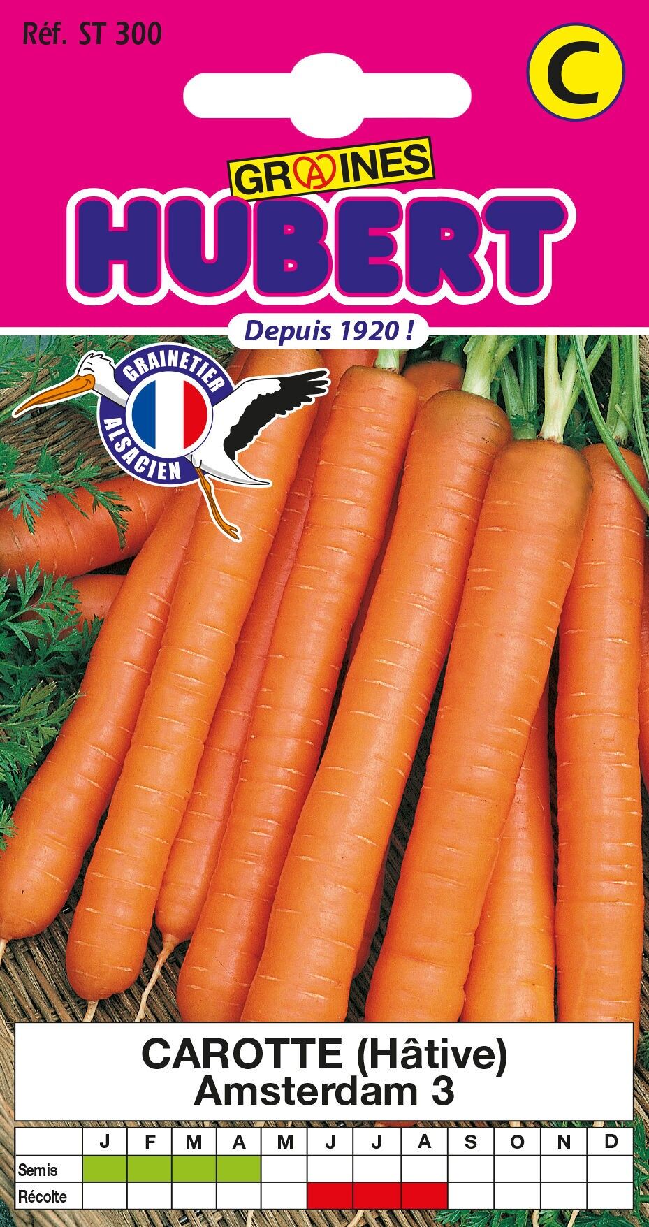 Buy wholesale Amsterdam Carrot Seeds 3 - 4 Gram Bag