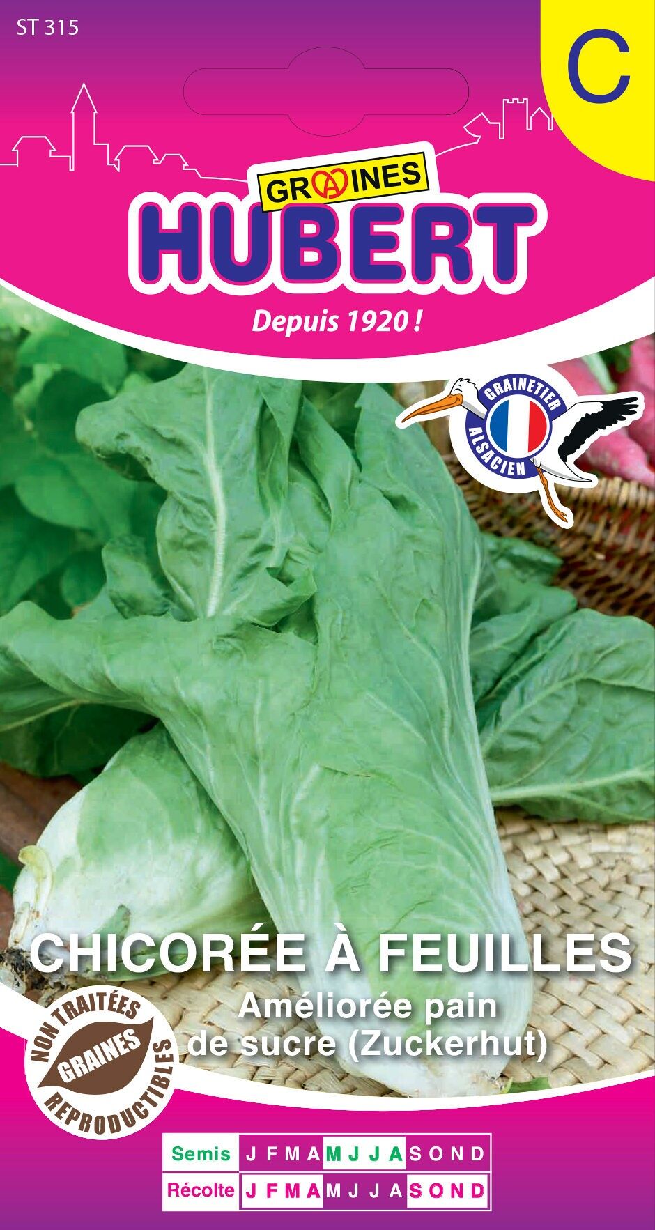 Buy wholesale Improved Sugarloaf Chicory Seeds - 3 gram bag