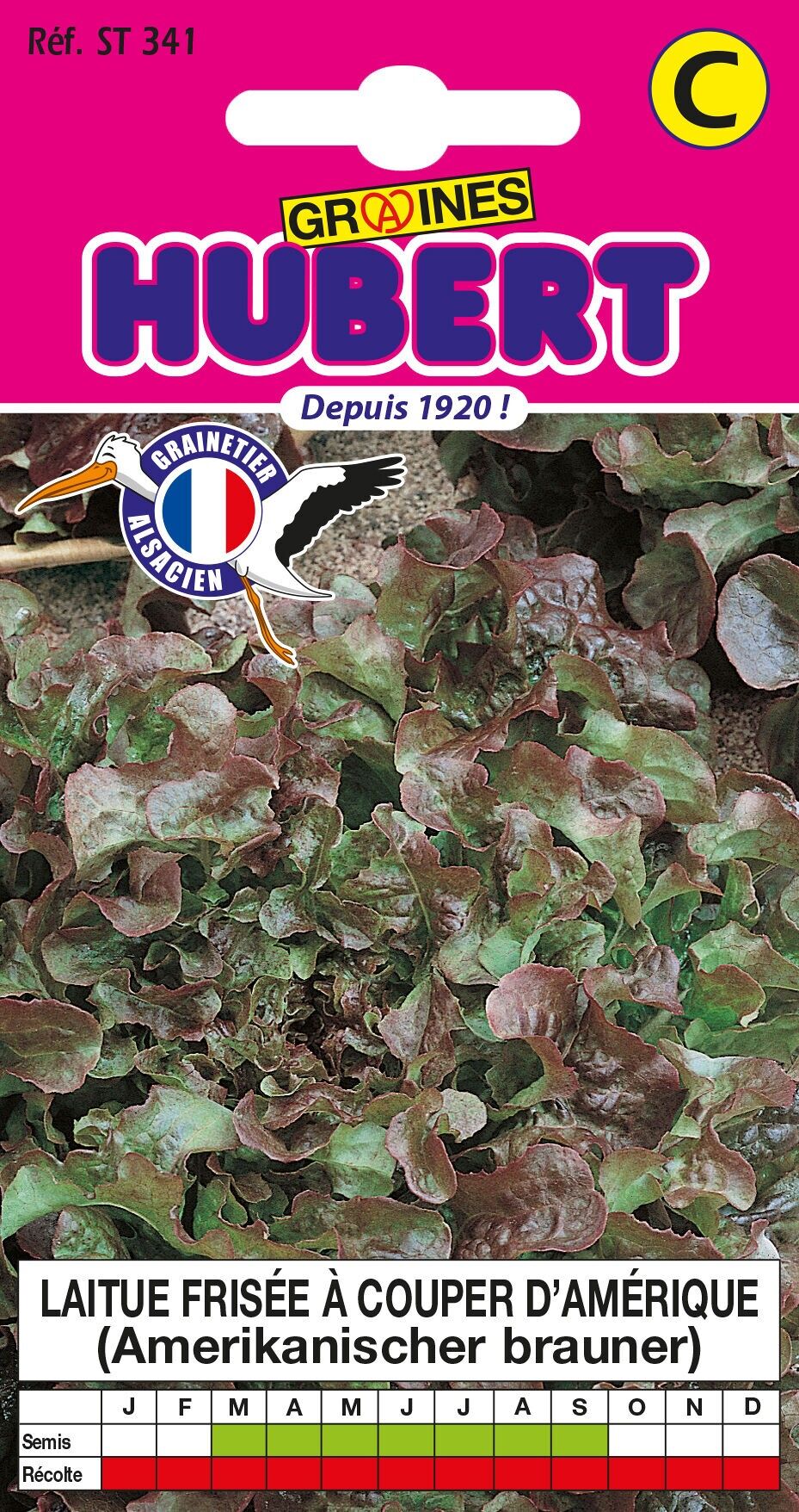 Buy wholesale American Leaf Lettuce Seeds - 3 Gram Bag