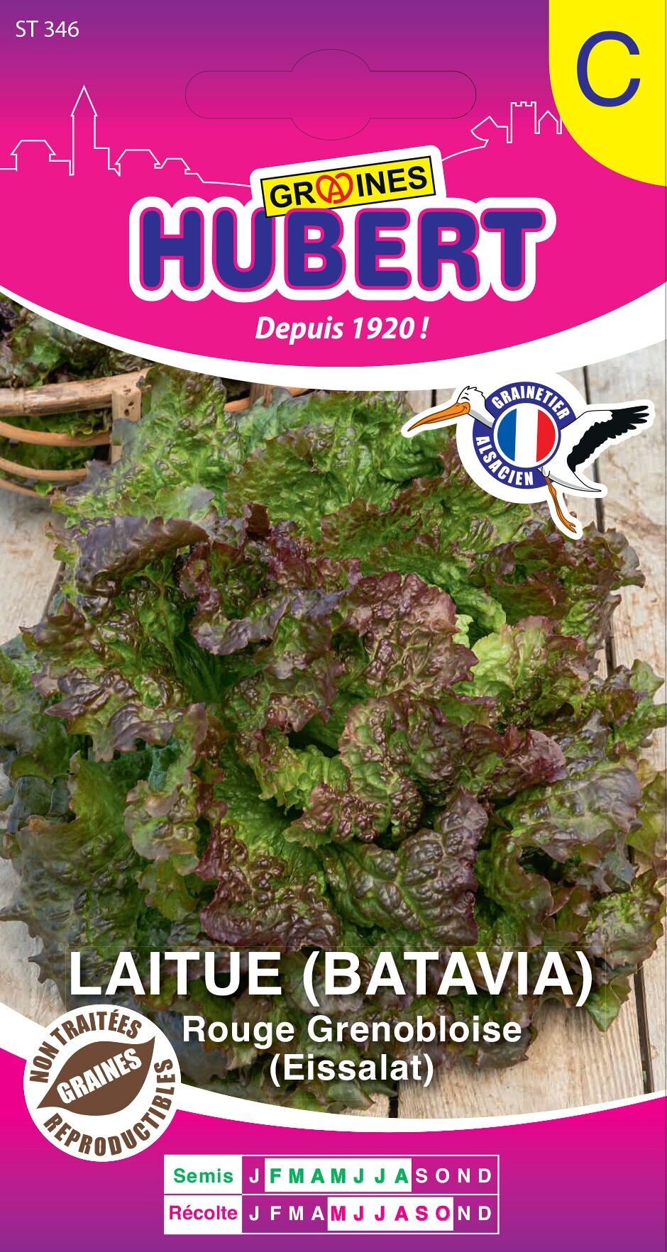 Buy wholesale Grenobloise Red Batavia Lettuce Seeds - 3 gram bag