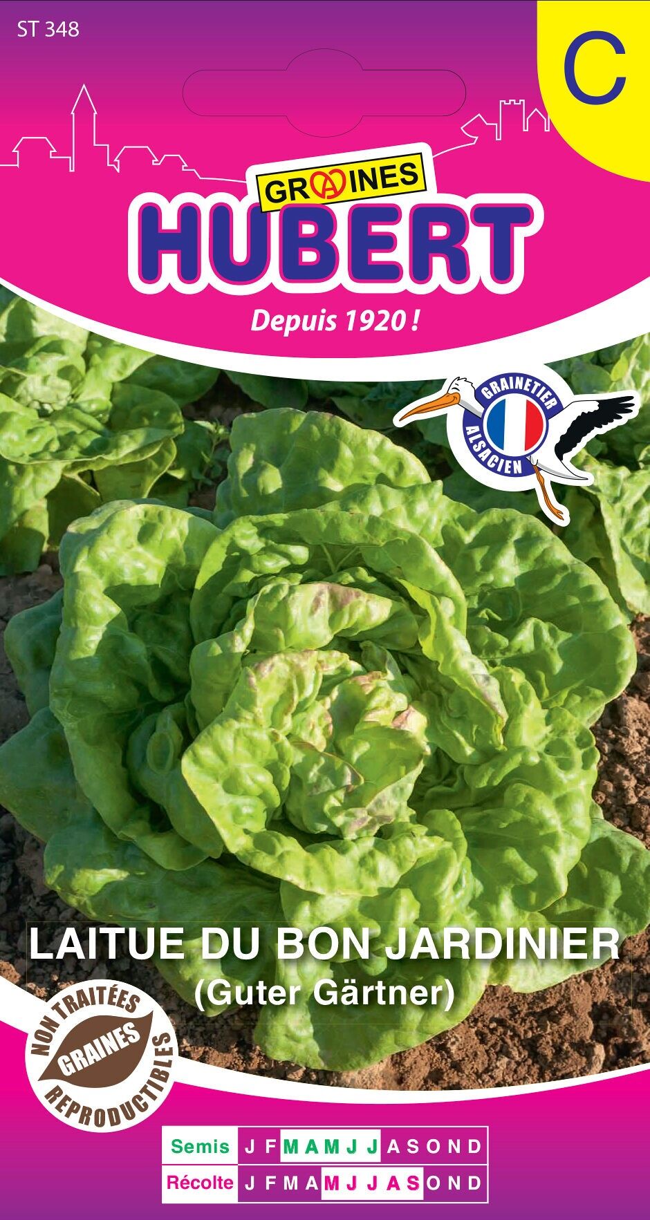 Buy wholesale Good Gardener Lettuce Seeds - 3 Gram Bag