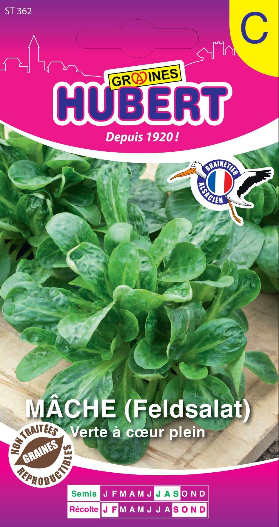 Achat Graines de Mâche Verte à Coeur Plein 2 - Sachet de 4 grammes en gros
