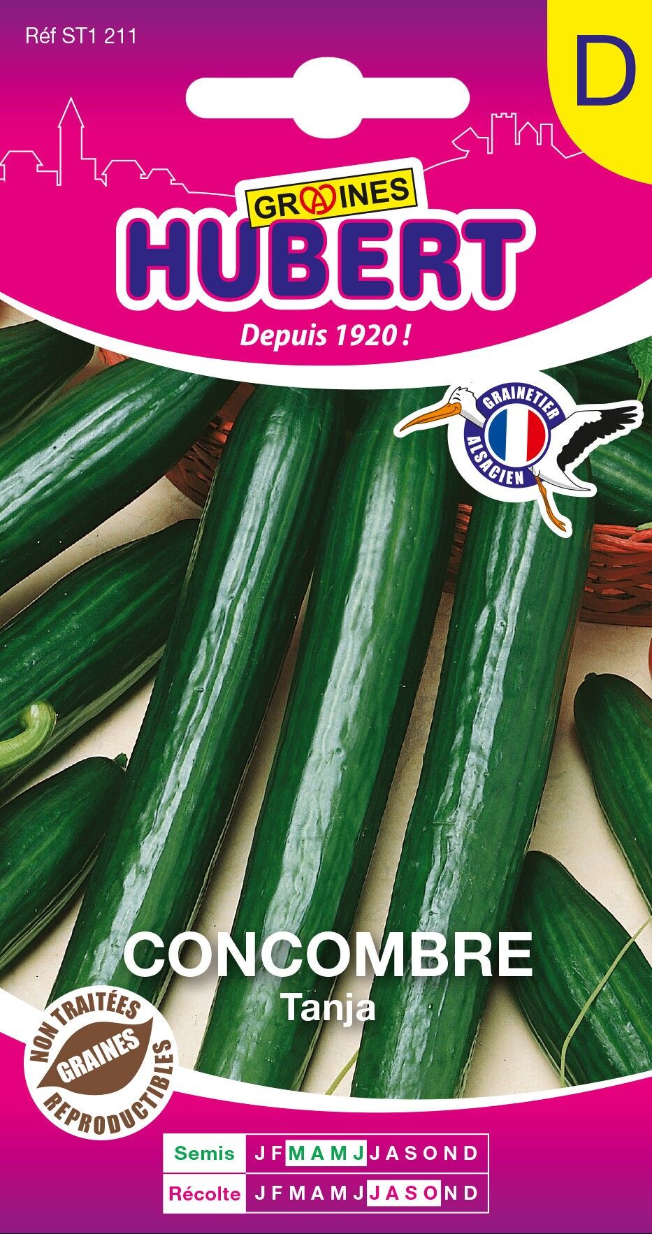Buy wholesale Tanja Cucumber - Packet of 25 Seeds