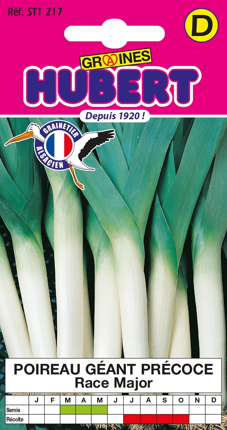 Buy wholesale Early Giant Leek Seeds, Major Breed - 1 gram bag