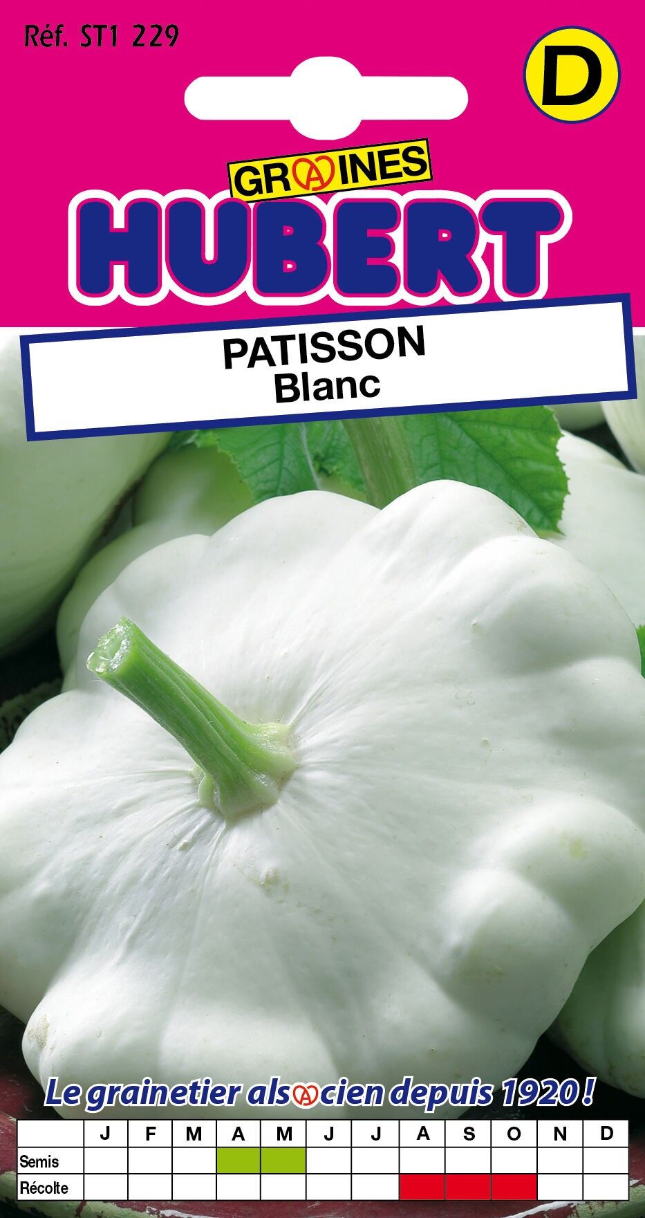 Buy wholesale Custard White Pattypan Squash - Packet of 10 Seeds