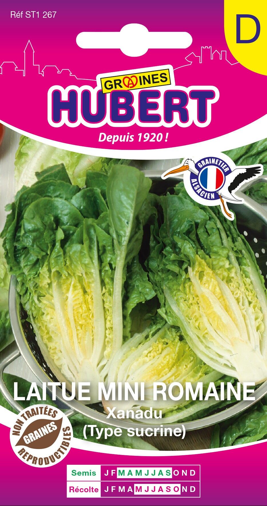Buy wholesale Xanadu Mini Romaine Lettuce Seeds (Sucrine Type) - 0.5 ...