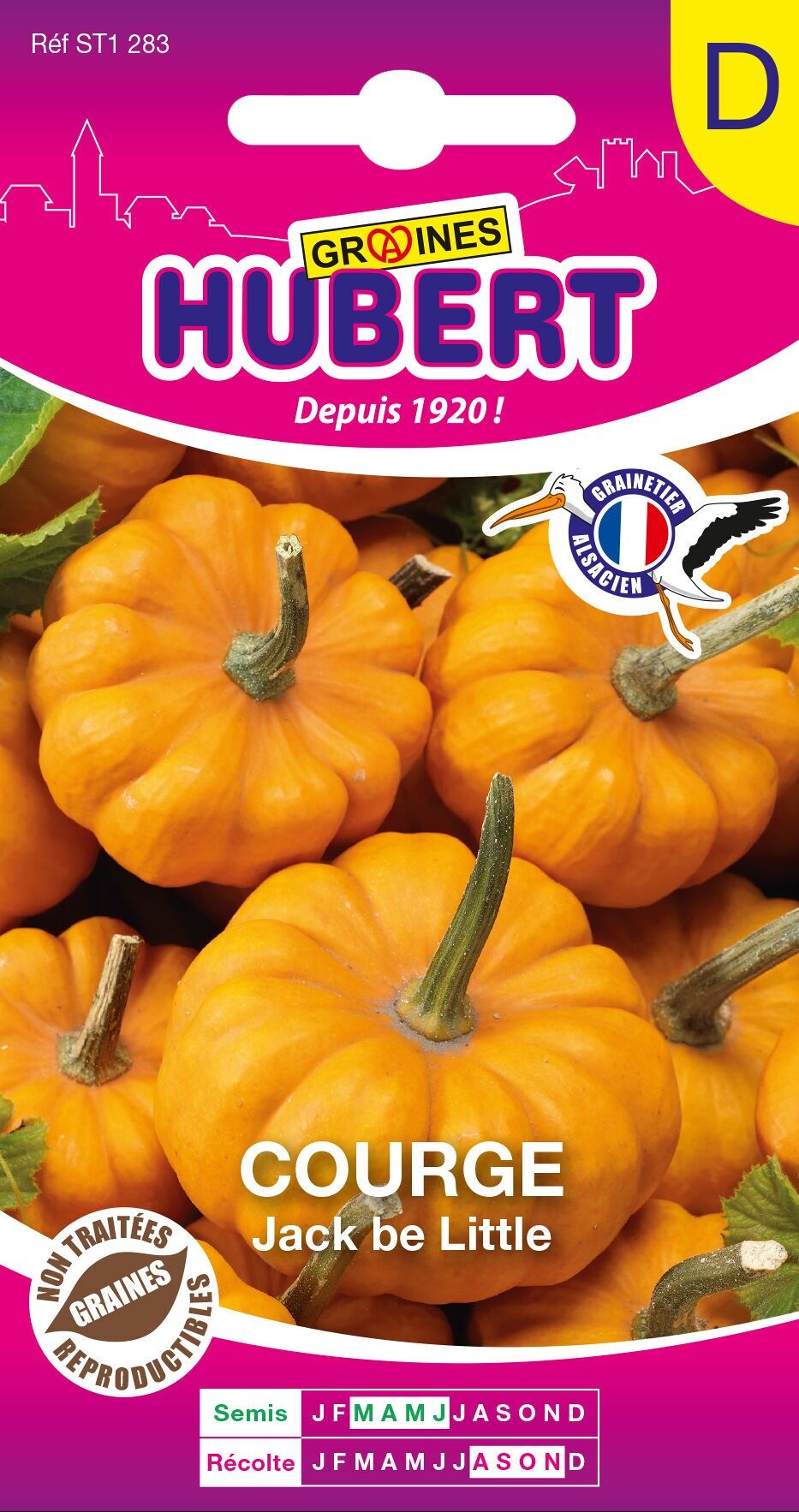 Achat Graines de Courge Pomarine Jack Be Little - Pomarine - Sachet de ...