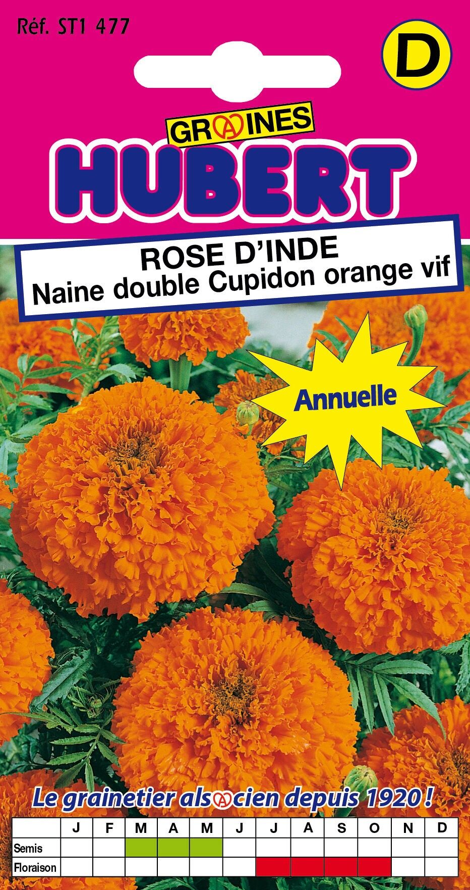 Buy wholesale Dwarf Marigold Seeds Double Cupid Bright Orange - 1 gram bag