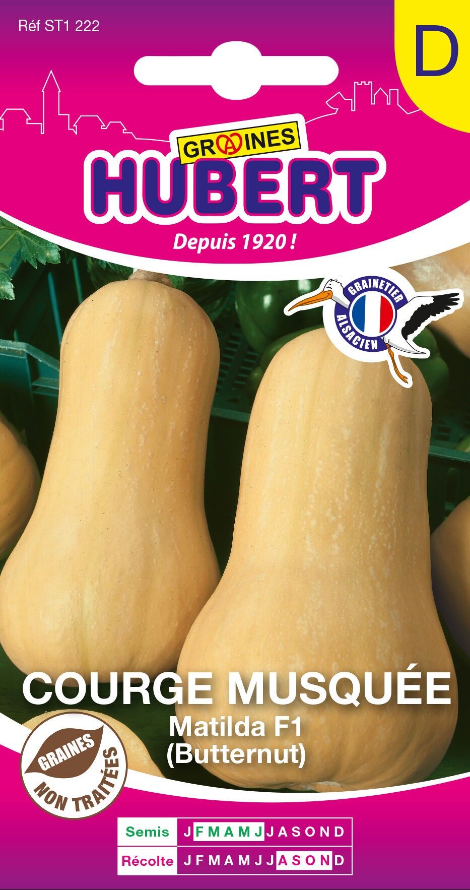 Buy wholesale Butternut Squash Matilda F1 - Packet of 6 Seeds