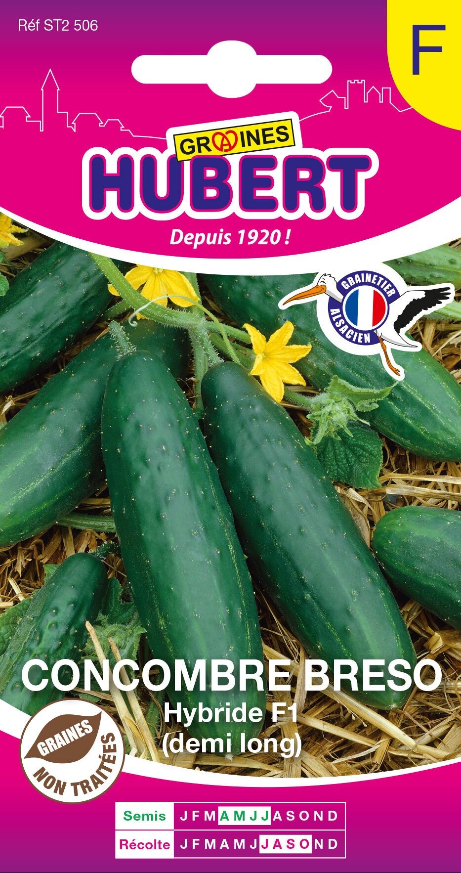 Buy wholesale Breso Cucumber Hybrid F1 (half-long) - Packet of 20 Seeds