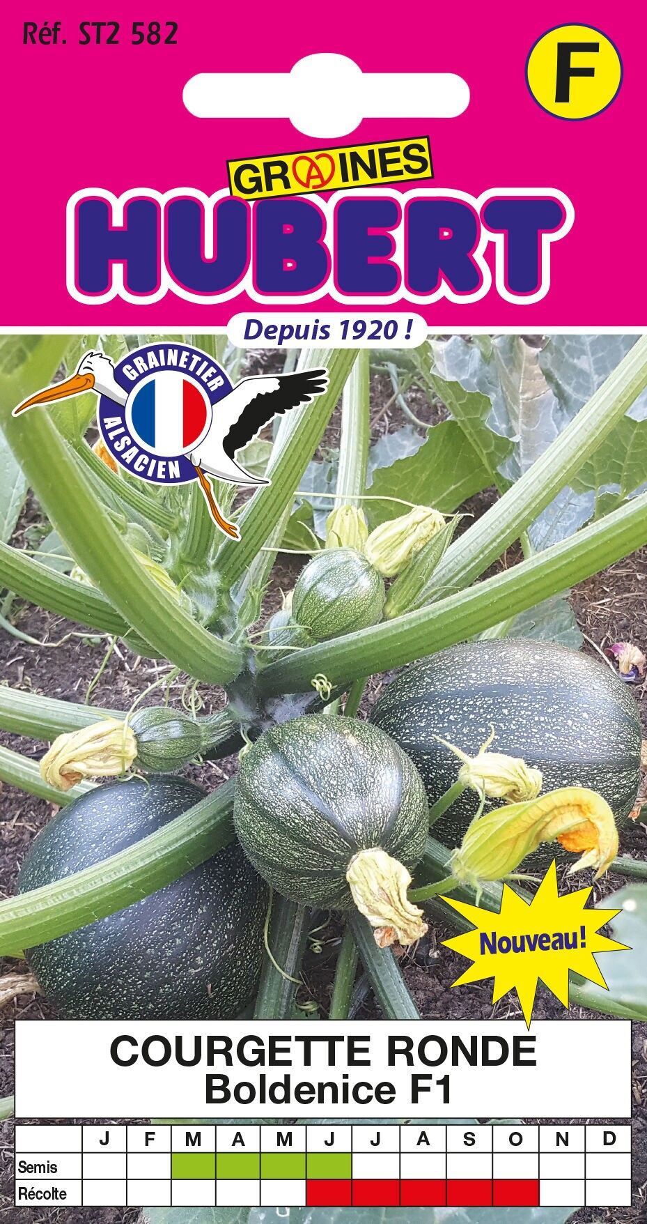 Buy wholesale Boldenice F1 Round Zucchini - Packet of 8 Seeds