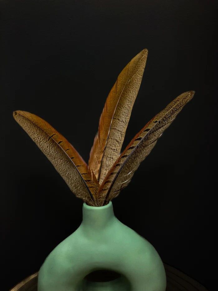 Achat Plumes de faisan de colchide mâle 17-20 cm (EN) - x10 feathers en ...