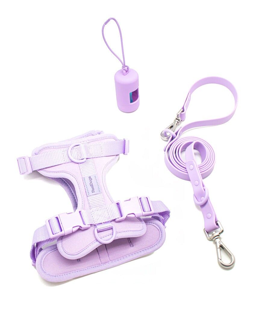 Buy wholesale Lavender Lilac Walk Kit
