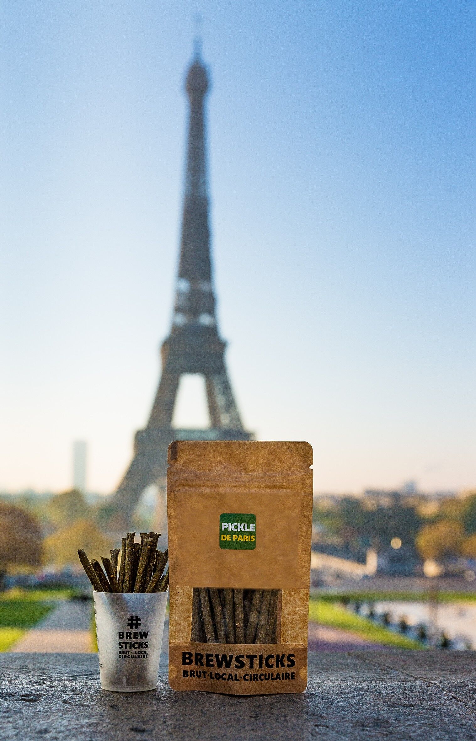 Buy wholesale Pickle from France