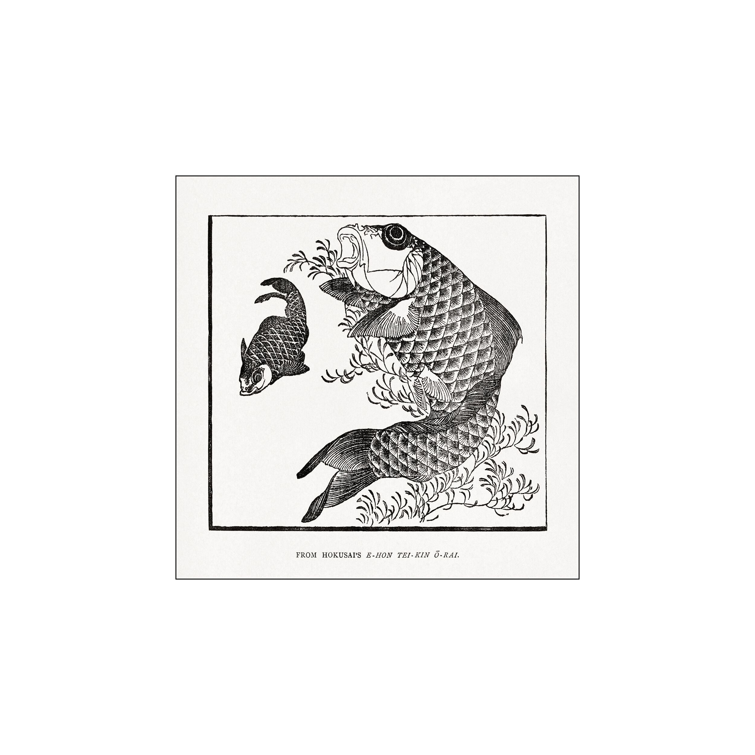 Buy wholesale Swimming Carp | Japanese Symbols