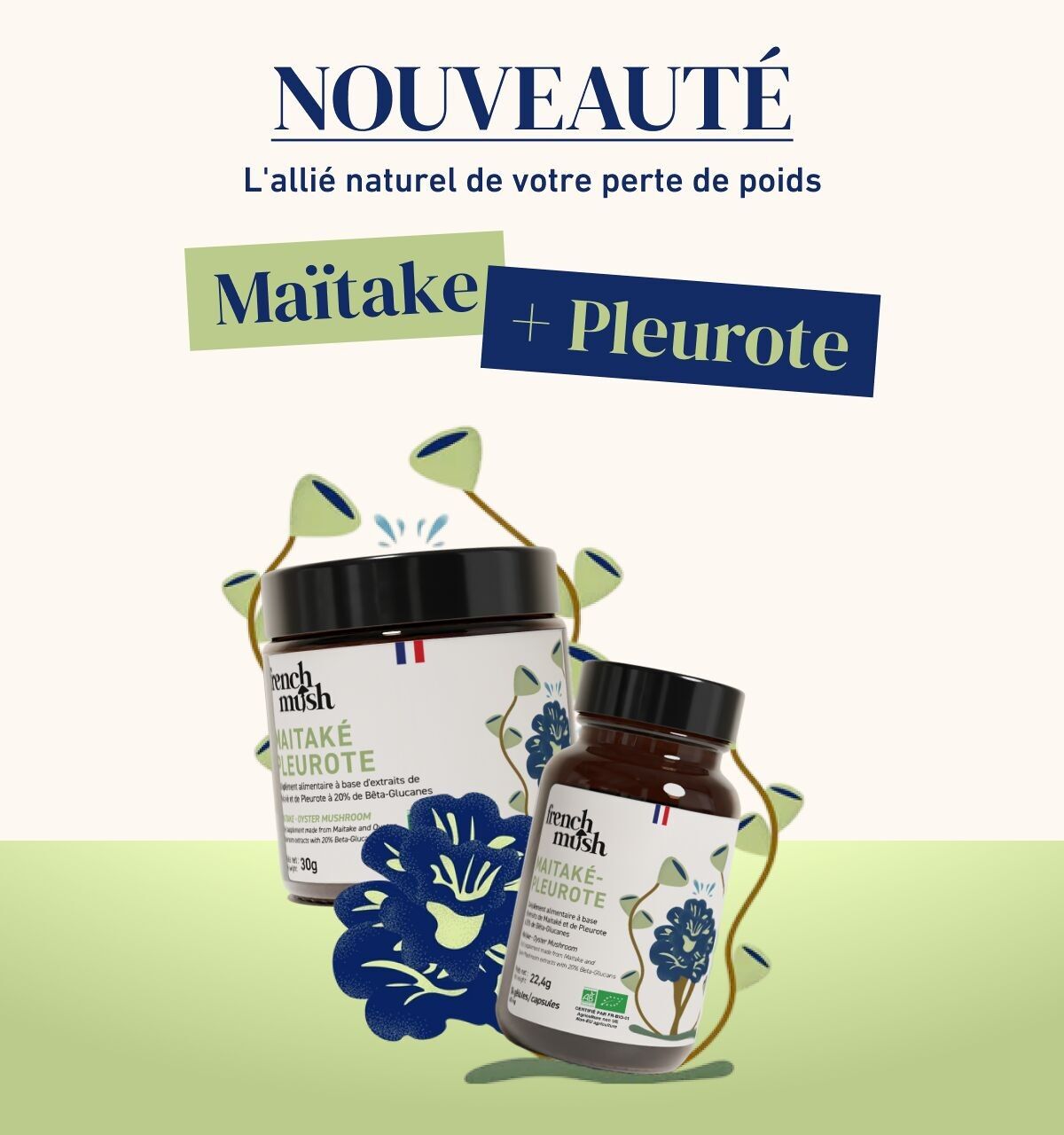 Achat Gélule extrait duo Duo Maïtake Pleurote - NEW en gros