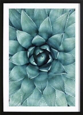 Buy wholesale Cactus Flower Poster_4