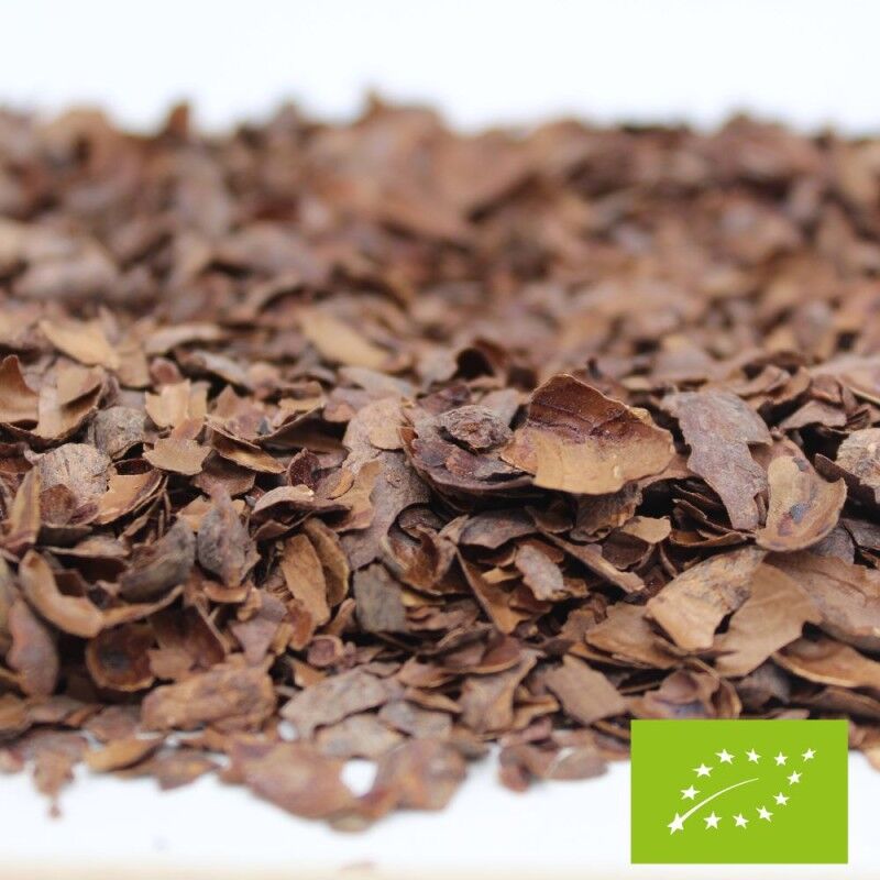 Achat Infusion Ecorce de Cacao BIO* - Infusion vrac 1kg en gros